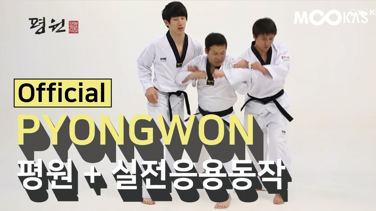 [국디백]평원품새(PYONGWON POOMSAE) / 실전응용동작 (Actual Fighting Application )