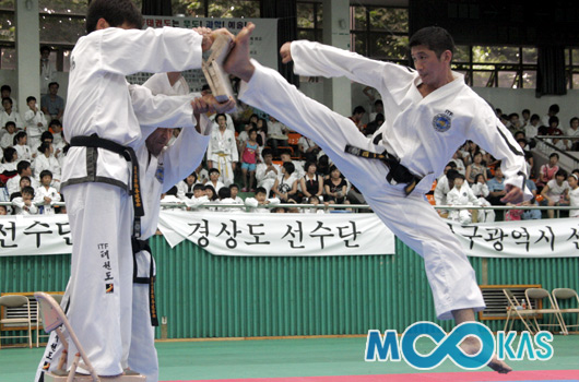 철권 ‘화랑’의 위력적인 ITF 발차기